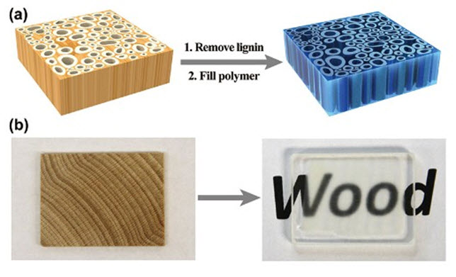 Transparent Wood แผ่นไม้โปร่งใส มองผ่านได้เหมือนกระจก - Design Makes A ...