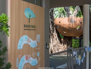 โรงเรียนที่ให้เด็กเข้าไปเรียนรู้จากต้นไม้ พื้นหญ้าและธรรมชาติ ...