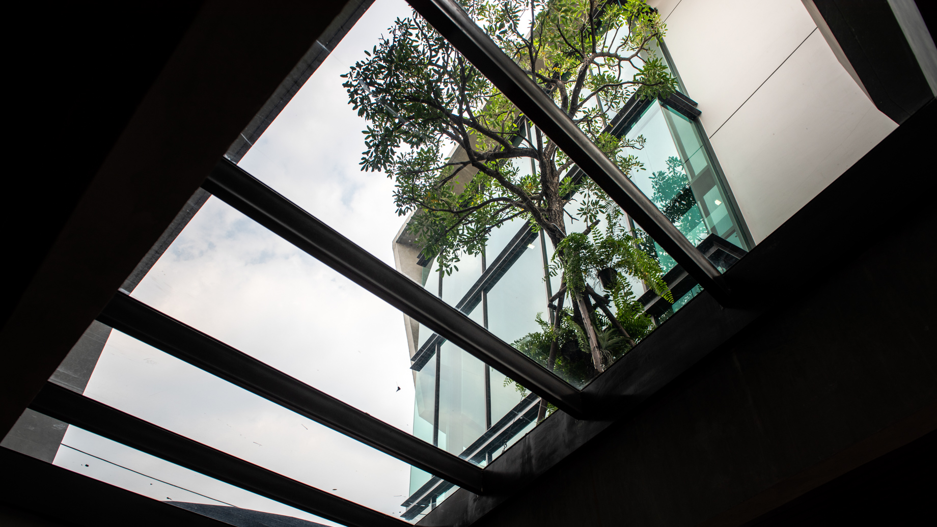 EXION OFFICE BUILDING สถาปัตยกรรมเคลื่อนที่ ด้วยไดนามิกจากเส้นสายโฉบ ...