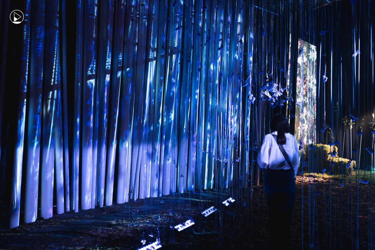 The Forest Exhibition นิทรรศการศิลปะรูปแบบใหม่ที่ได้แรงบันดาลใจมาจาก ...