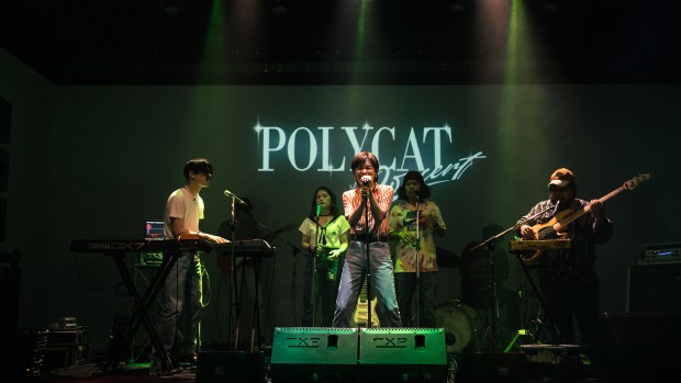 Polycat Concert Exhibition นิทรรศการศิลปะที่ได้แรงบันดาลใจมาจากเส้นทาง ...