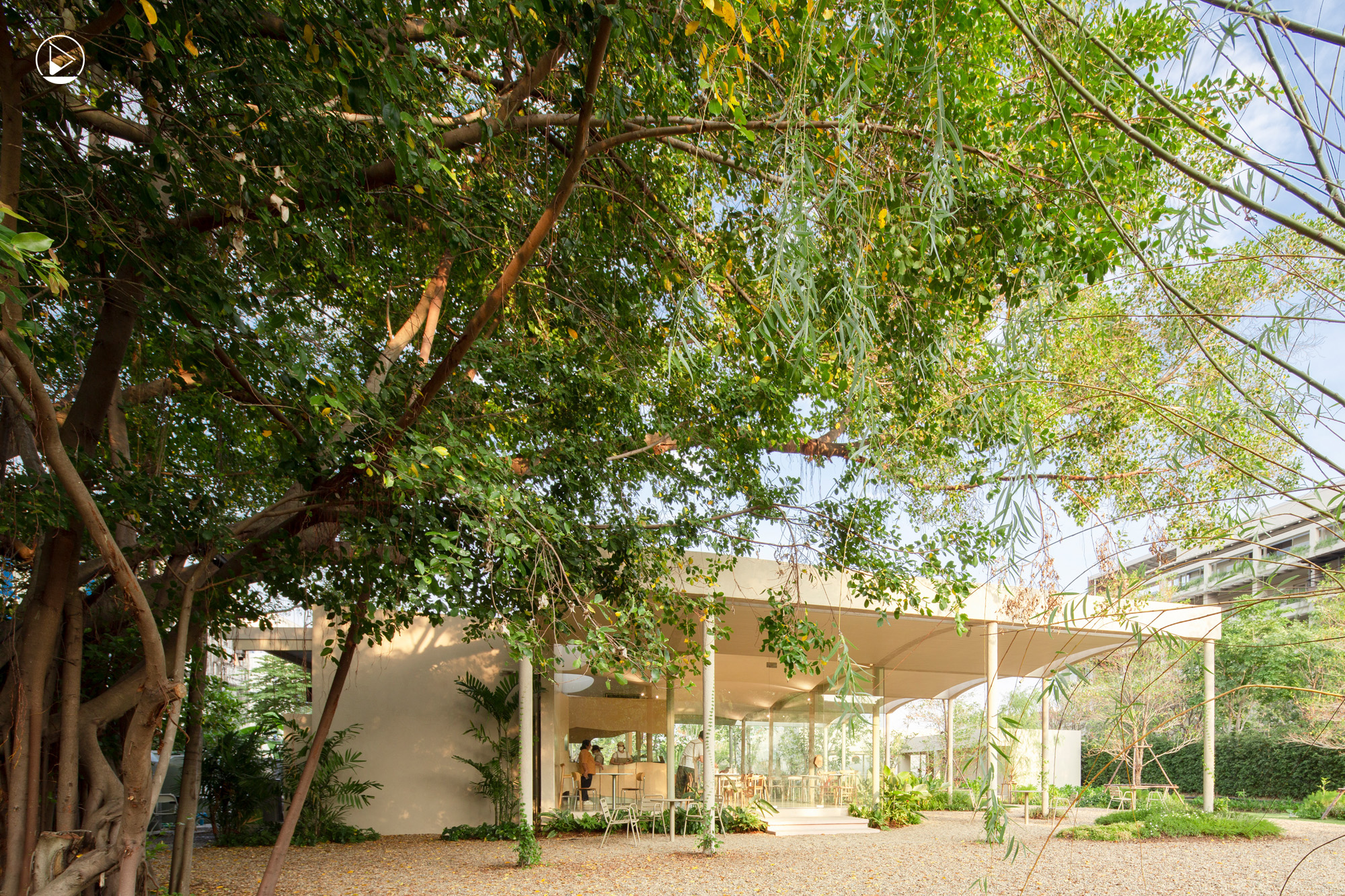 Little Stove & Little Stump คาเฟ่และเพลย์กราวด์ที่ออกแบบสถาปัตยกรรมไป ...