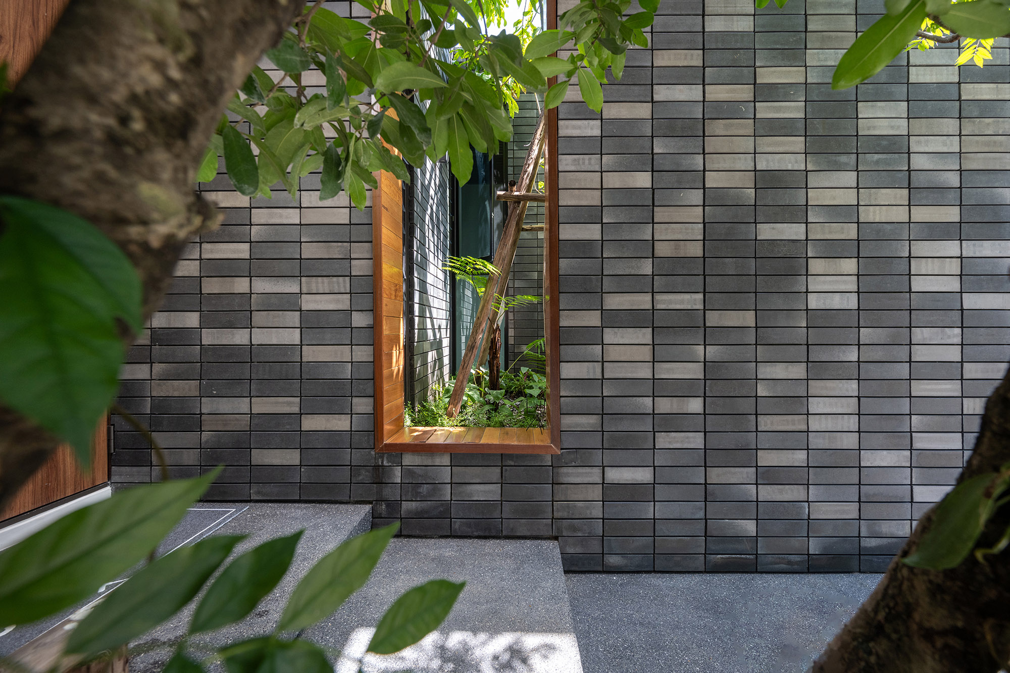 Tree’s House การออกแบบที่พักอาศัยของคน และต้นไม้ ในพื้นที่บ้านล้อมคอร์ตชั้นเดียว - Design Makes ...