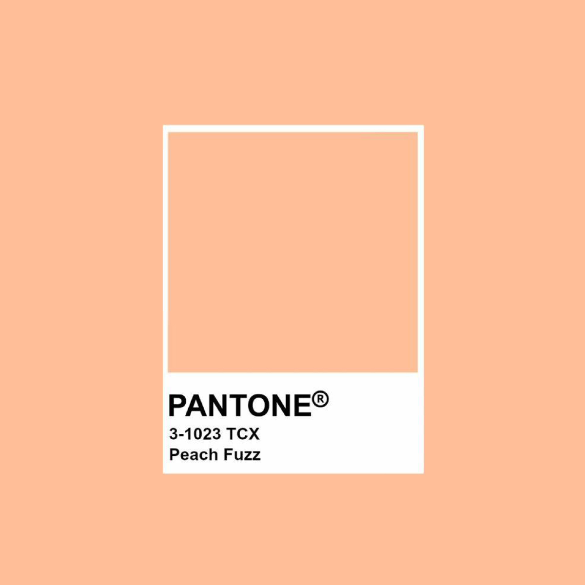 ทำความรู้จักสี Peach Fuzz ( Color of the Year 2024 ) ผ่าน Koji Saryo ...