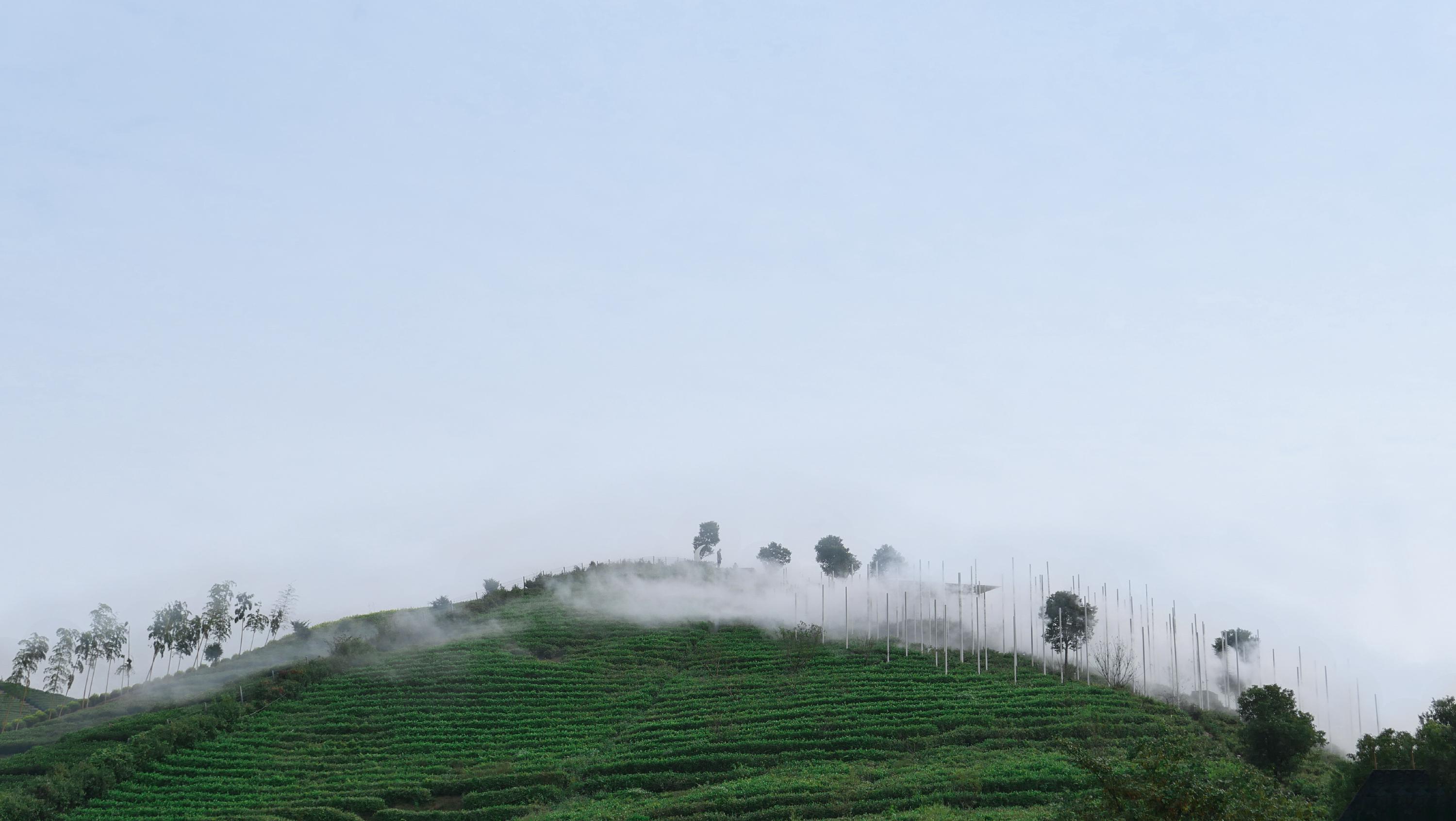 เสาเหล็กล้อมพื้นที่ที่ช่วยสร้าง boundary ระหว่างสถาปัตยกรรม และภูมิทัศน์ให้ชัดขึ้น Cloud Tea ...